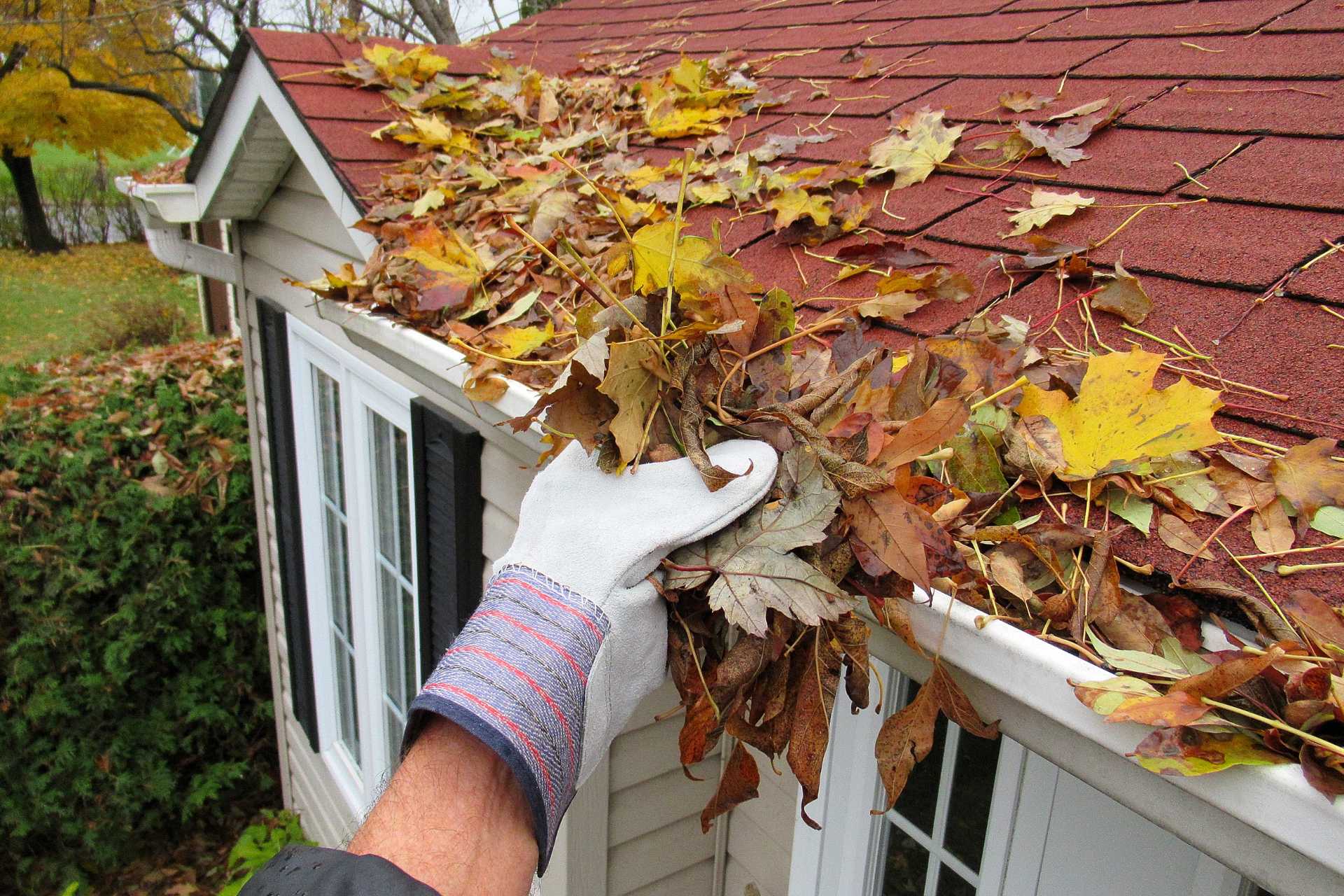 7 Overlooked Exterior Maintenance Tasks That Prevent Costly Damage ...